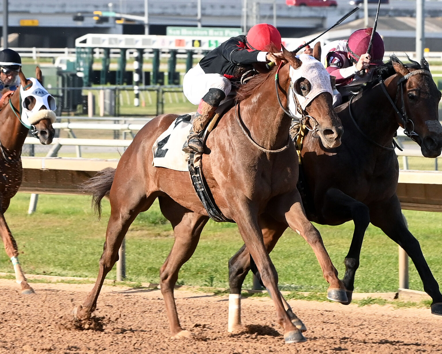 Texas Thoroughbred Association – The official website of the TTA