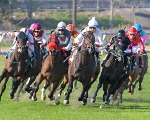 Texas Thoroughbred Association – The official website of the TTA