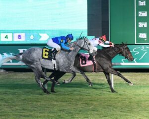 Texas Thoroughbred Association – The official website of the TTA