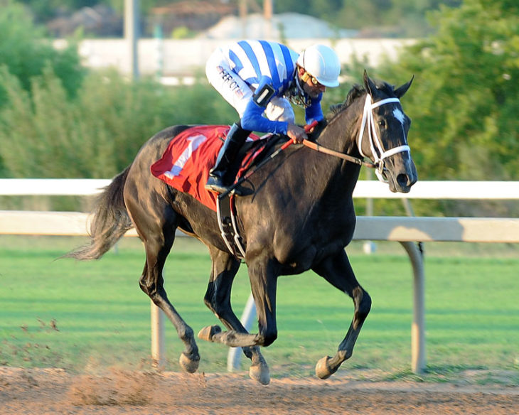 Texas Stallion Stakes Winners at Retama Park – Texas Thoroughbred ...