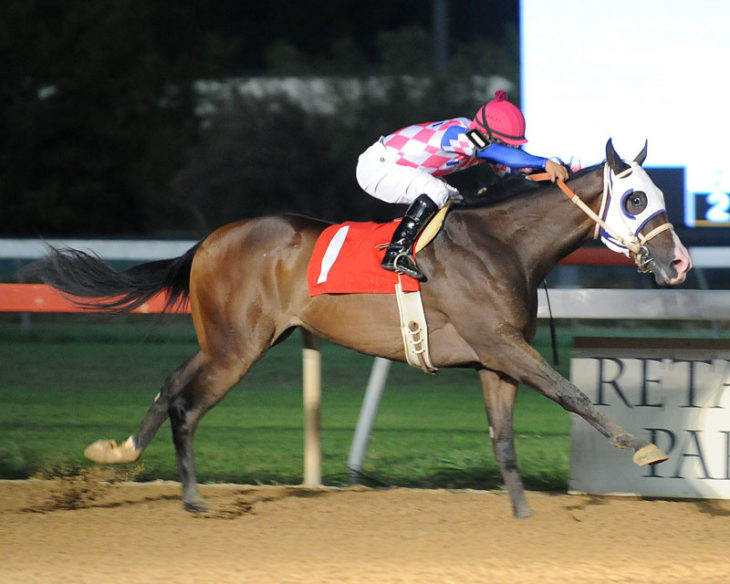 Texas Stallion Stakes Winners at Retama Park – Texas Thoroughbred ...